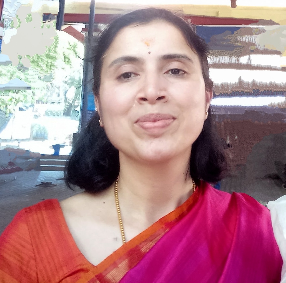 SUJA SUBRAMANIAN - The Hockey Museum
